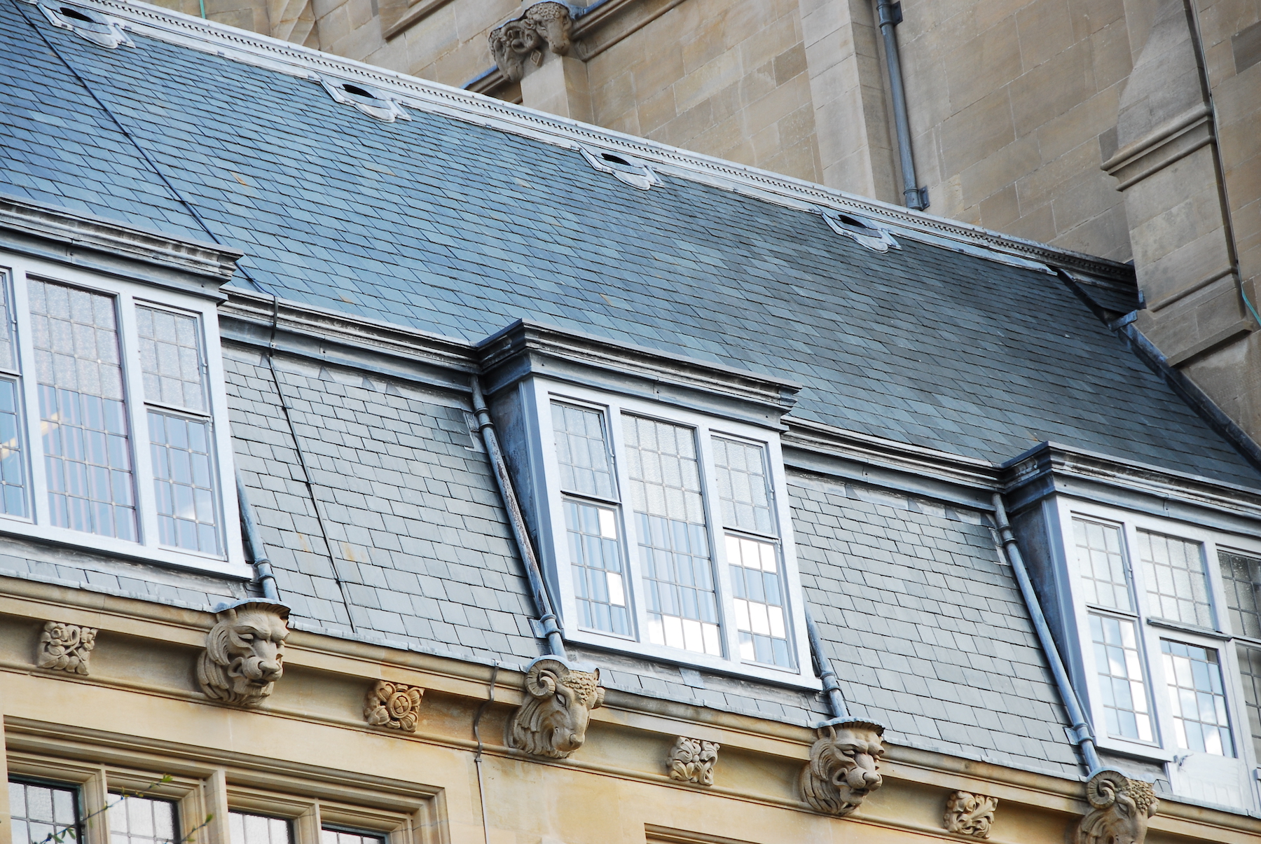 What is Phyllite? | SSQ